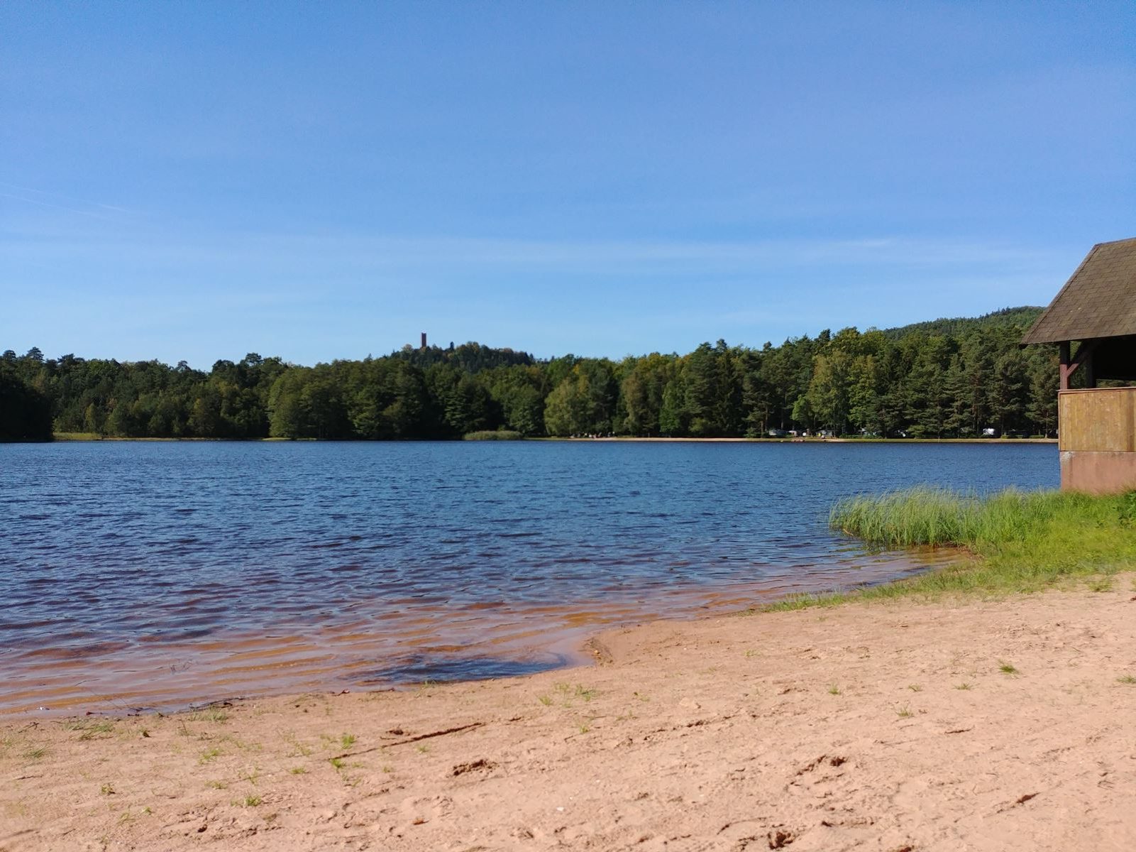 Une après-midi à l’étang de Hanau - LA CHA'LSACIENNE